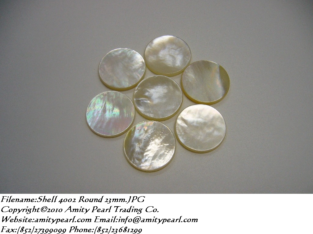 Shell | Amity Pearl Trading Co / Amilee Pearl Company