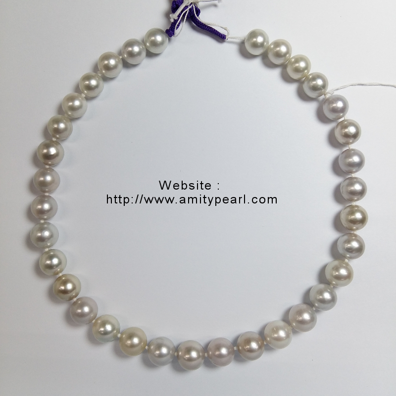 South Sea Pearl | Amity Pearl Trading Co / Amilee Pearl Company